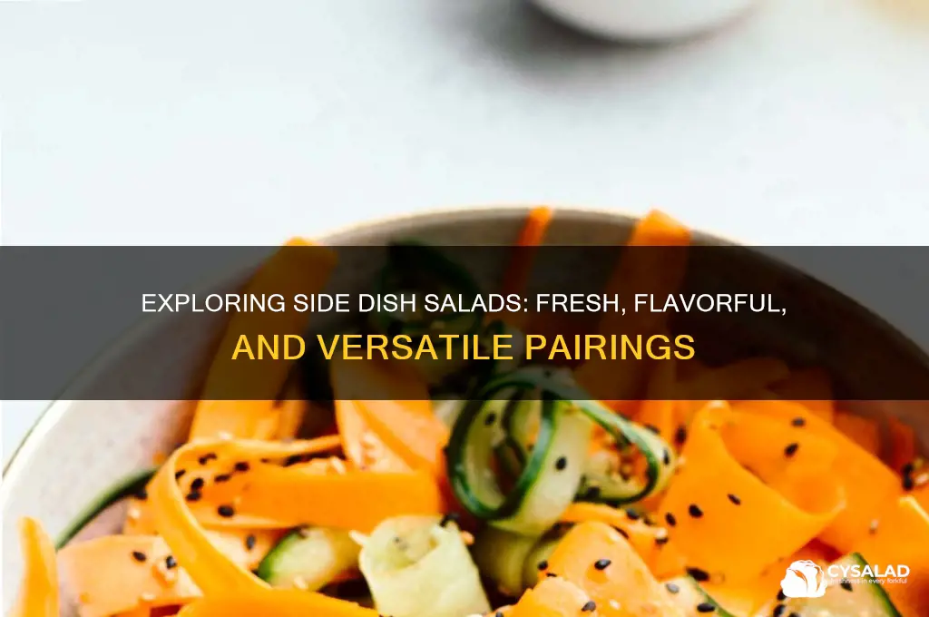 Exploring Side Dish Salads: Fresh, Flavorful, And Versatile Pairings ...
