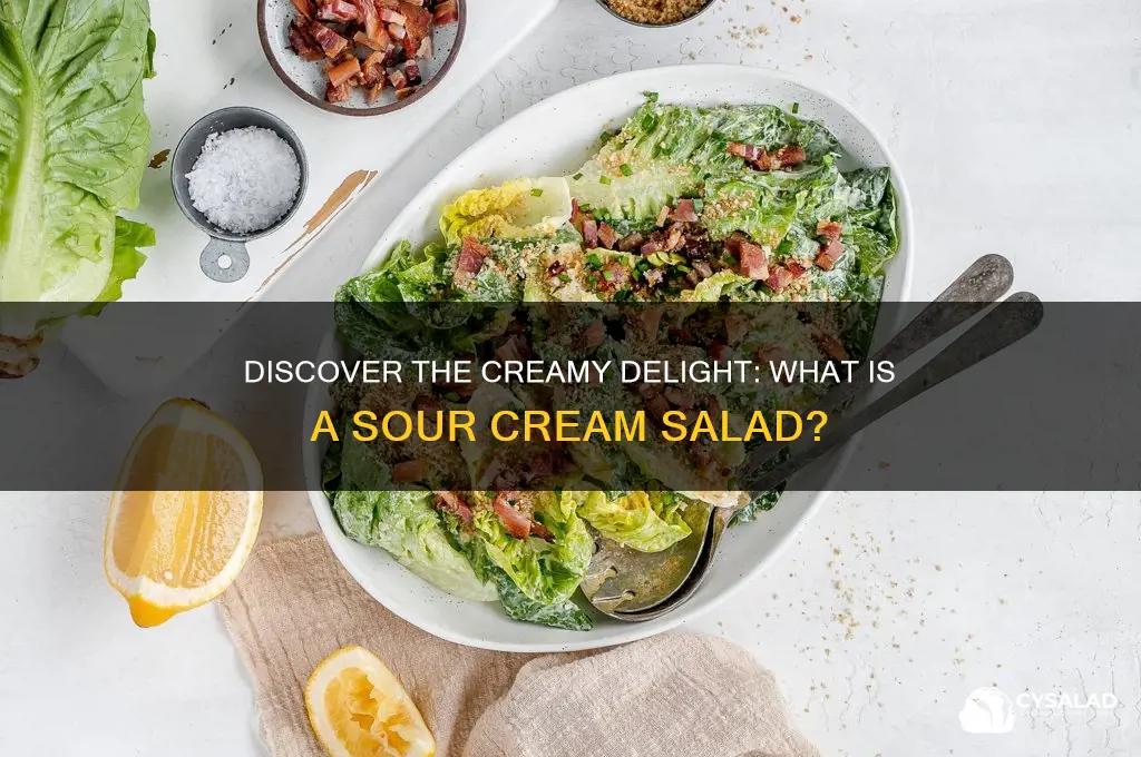 Discover The Creamy Delight: What Is A Sour Cream Salad? | CySalad