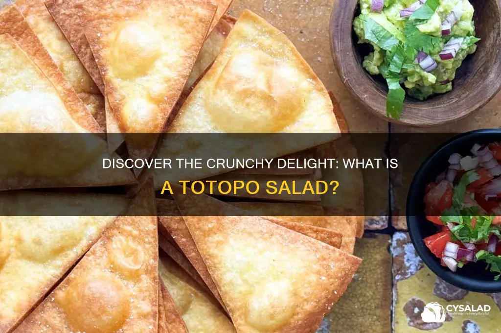 Discover The Crunchy Delight: What Is A Totopo Salad? | CySalad