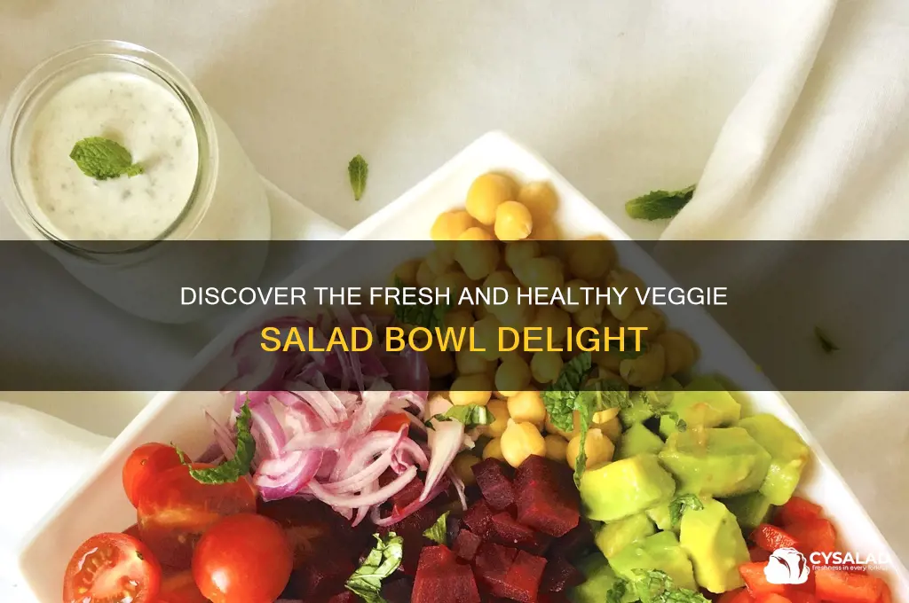 Discover The Fresh And Healthy Veggie Salad Bowl Delight | CySalad