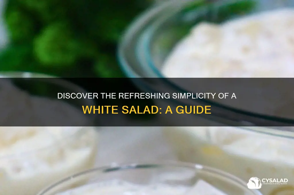 Discover The Refreshing Simplicity Of A White Salad: A Guide | CySalad