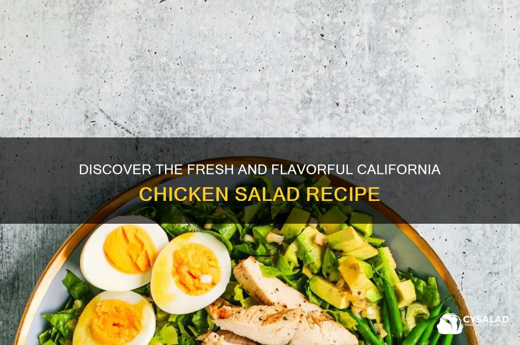 Discover The Fresh And Flavorful California Chicken Salad Recipe | CySalad