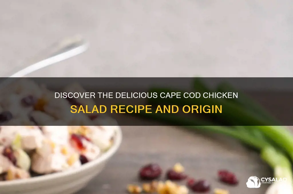 Discover The Delicious Cape Cod Chicken Salad Recipe And Origin | CySalad