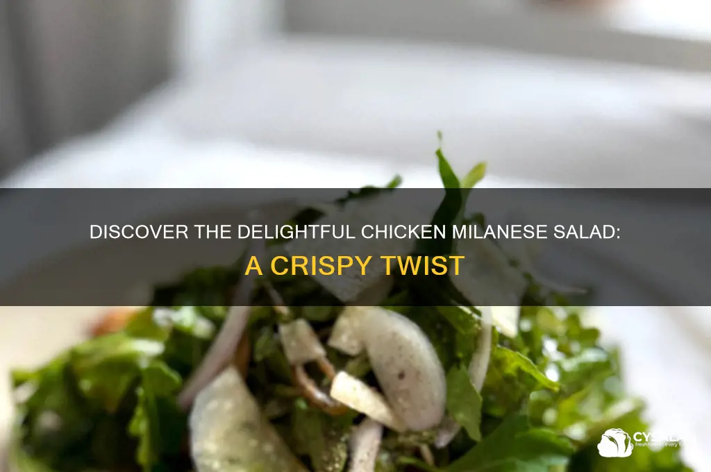 Discover The Delightful Chicken Milanese Salad: A Crispy Twist | CySalad