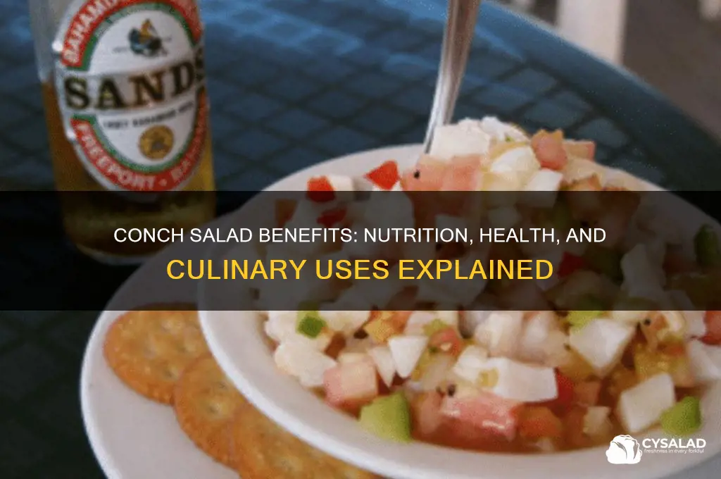 Conch Salad Benefits: Nutrition, Health, And Culinary Uses Explained ...