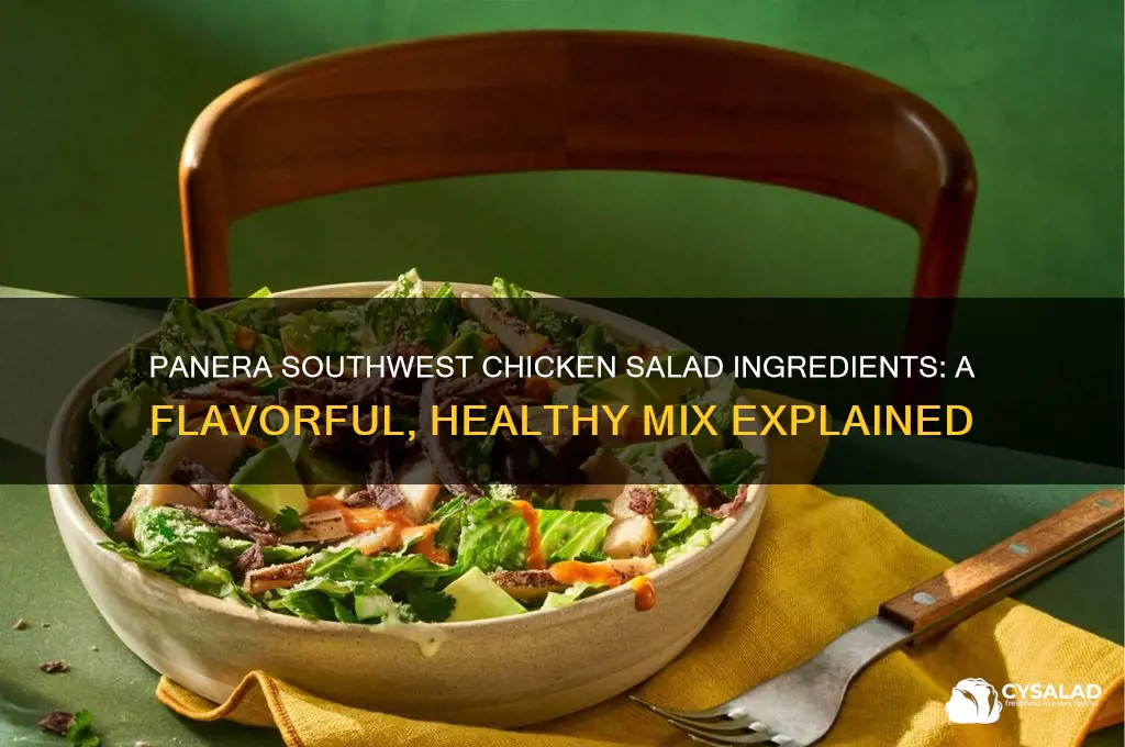 Panera Southwest Chicken Salad Ingredients: A Flavorful, Healthy Mix ...