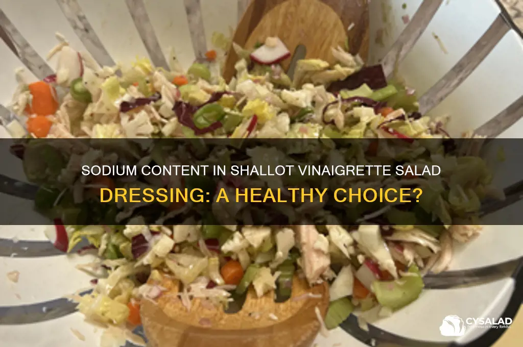 Sodium Content In Shallot Vinaigrette Salad Dressing: A Healthy Choice ...