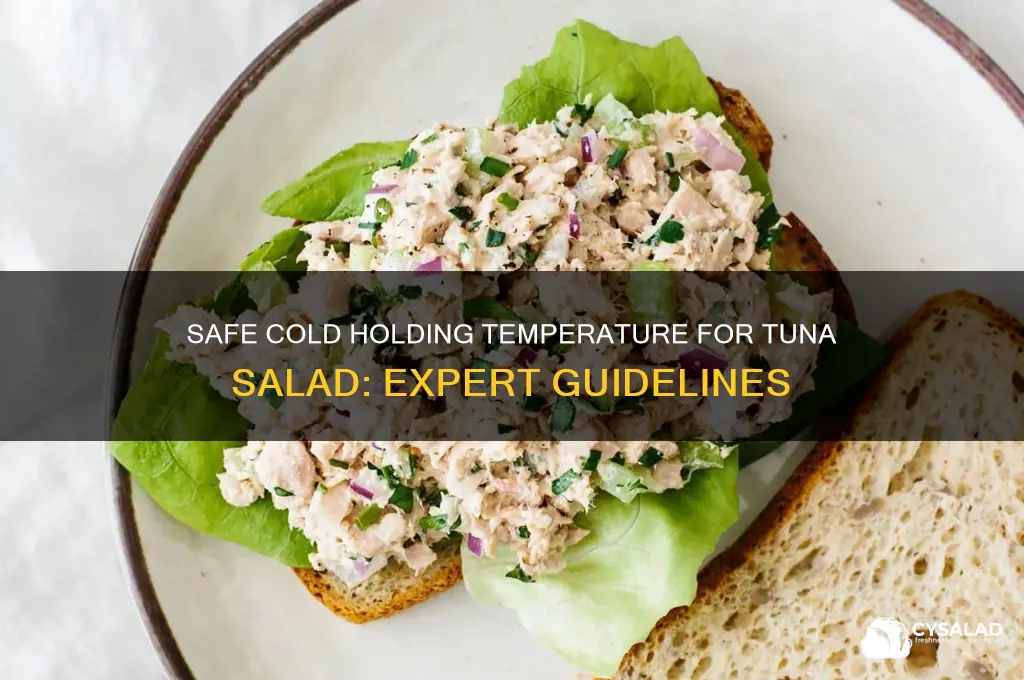 Safe Cold Holding Temperature For Tuna Salad: Expert Guidelines | CySalad