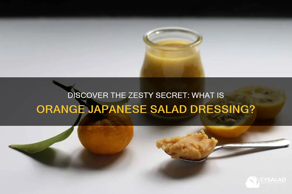 Discover The Zesty Secret: What Is Orange Japanese Salad Dressing ...