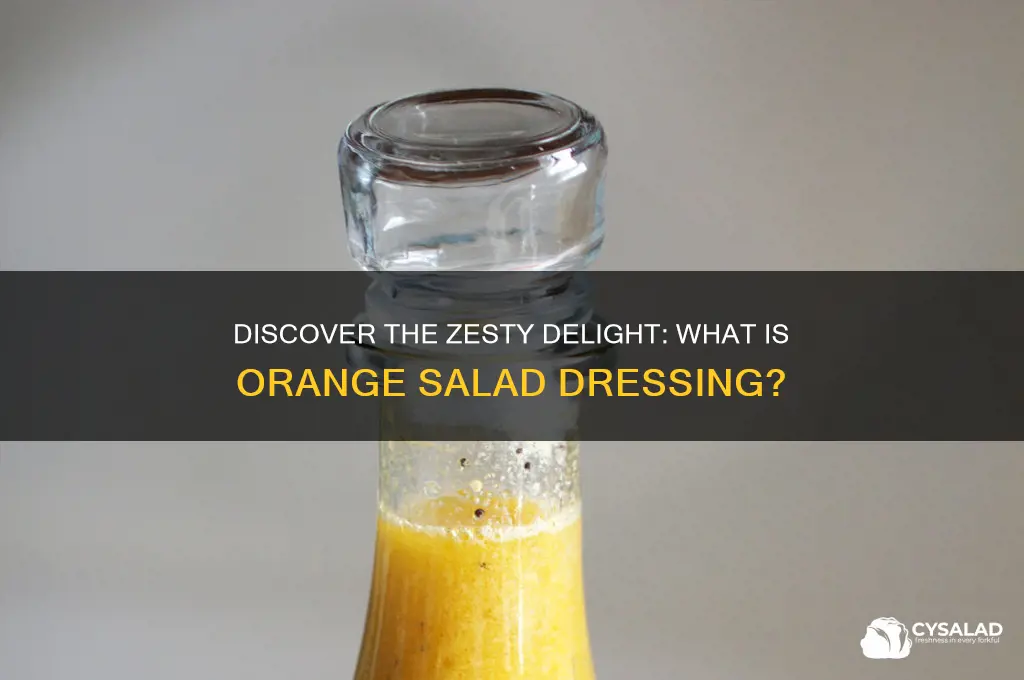Discover The Zesty Delight: What Is Orange Salad Dressing? | CySalad