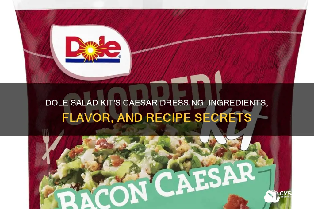 Dole Salad Kit's Caesar Dressing: Ingredients, Flavor, And Recipe ...