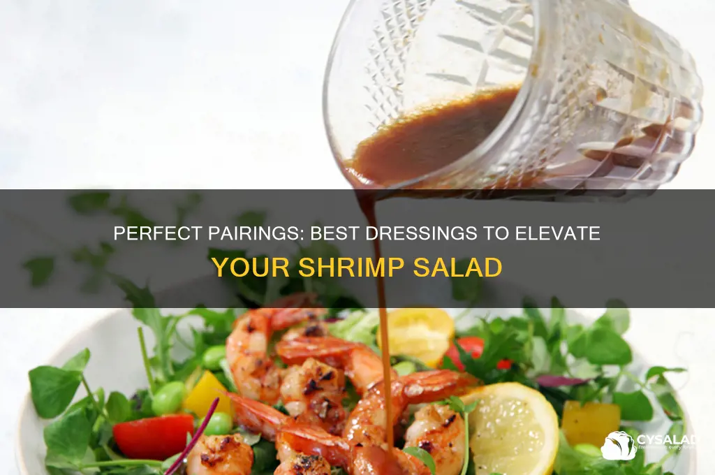 Perfect Pairings: Best Dressings To Elevate Your Shrimp Salad | CySalad