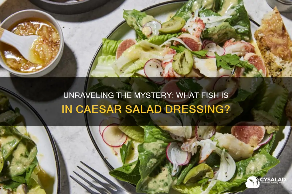 Unraveling The Mystery: What Fish Is In Caesar Salad Dressing? | CySalad