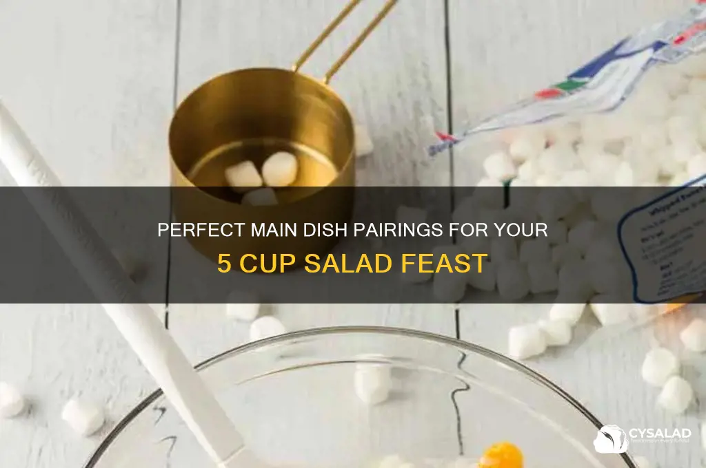 Perfect Main Dish Pairings For Your 5 Cup Salad Feast | CySalad