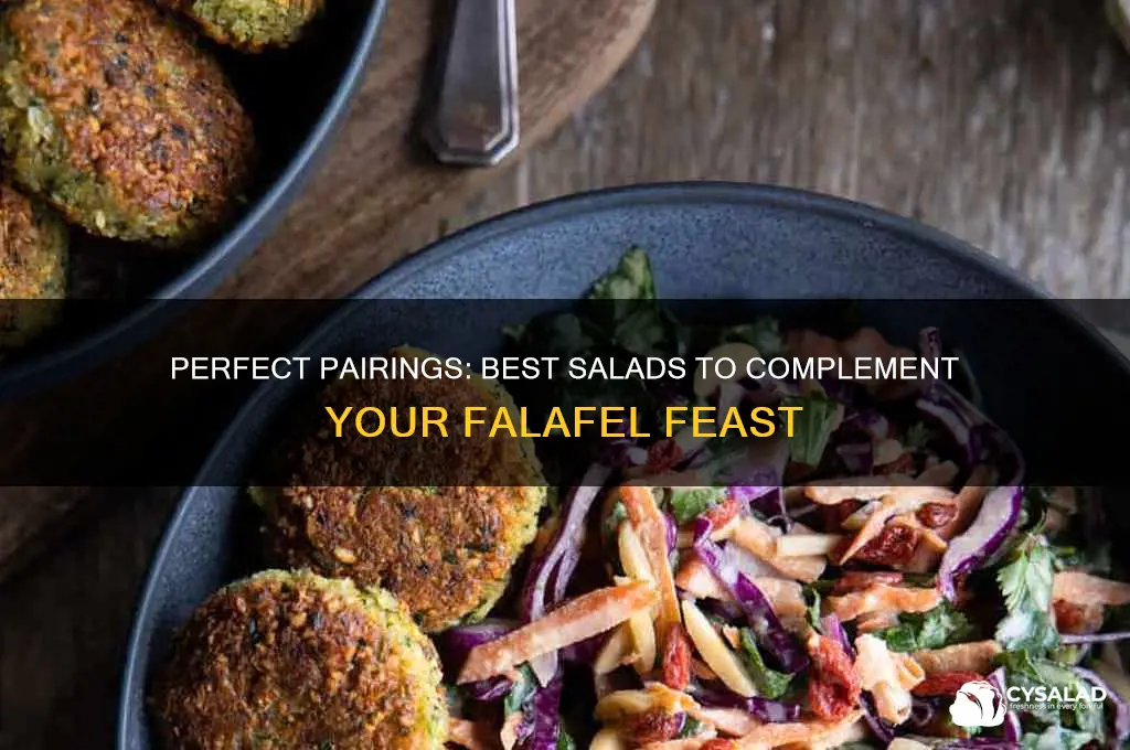 Perfect Pairings: Best Salads To Complement Your Falafel Feast | CySalad