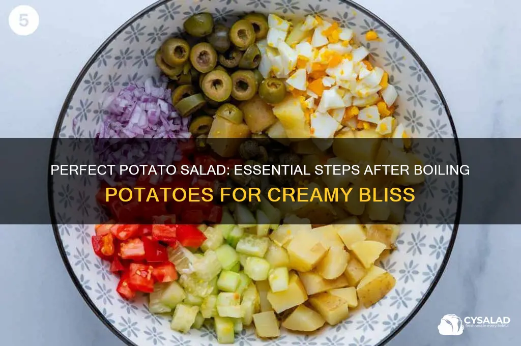 Perfect Potato Salad: Essential Steps After Boiling Potatoes For Creamy ...