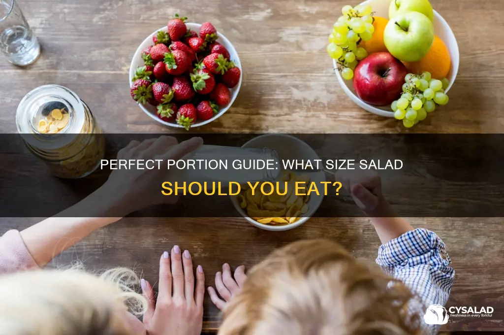 Perfect Portion Guide: What Size Salad Should You Eat? | CySalad