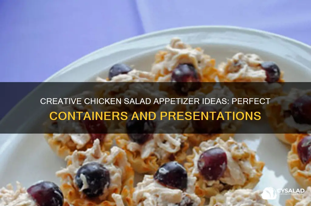 Creative Chicken Salad Appetizer Ideas: Perfect Containers And ...