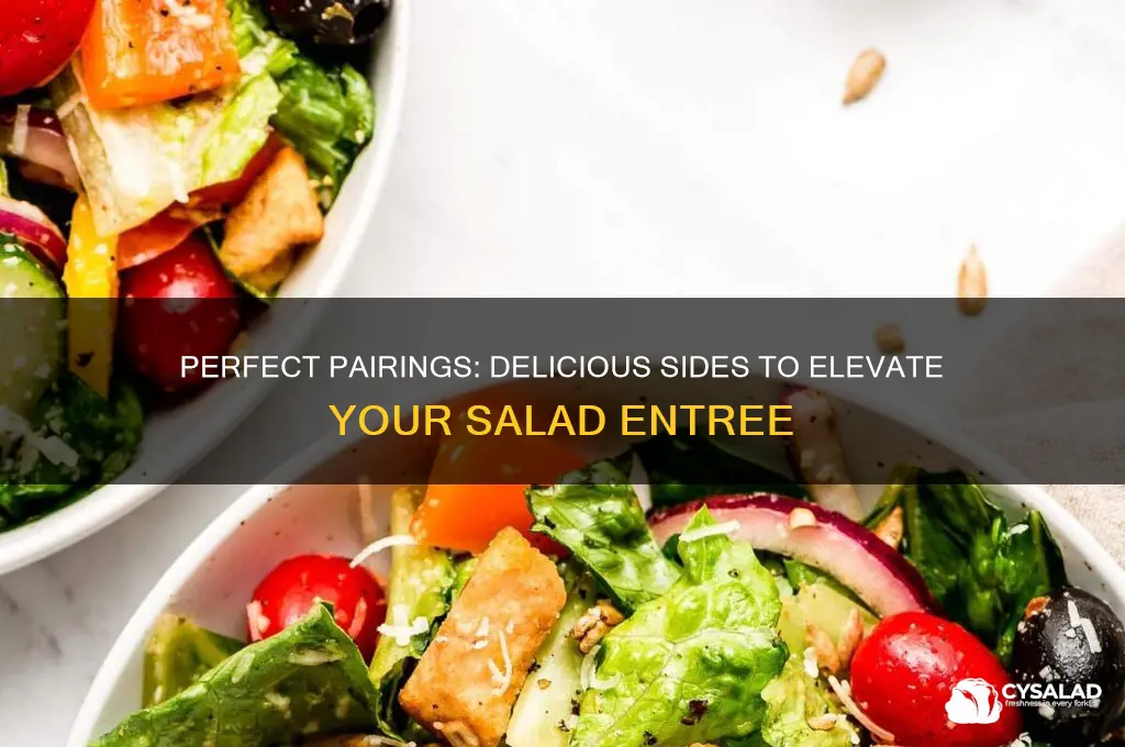 Perfect Pairings: Delicious Sides To Elevate Your Salad Entree | CySalad
