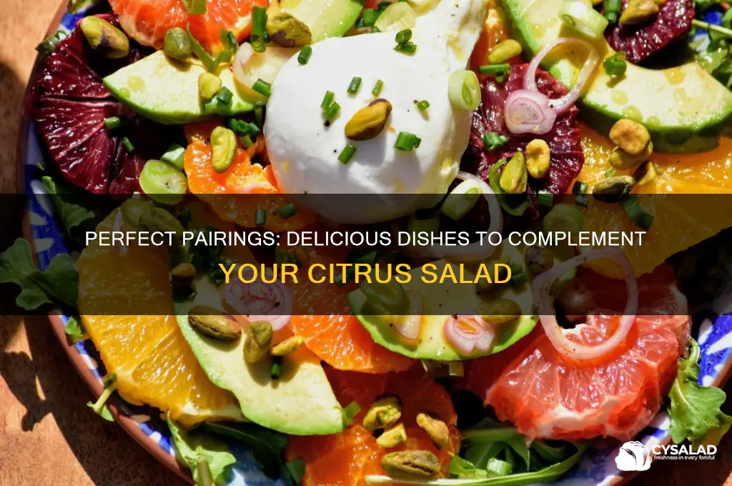 Perfect Pairings: Delicious Dishes To Complement Your Citrus Salad ...