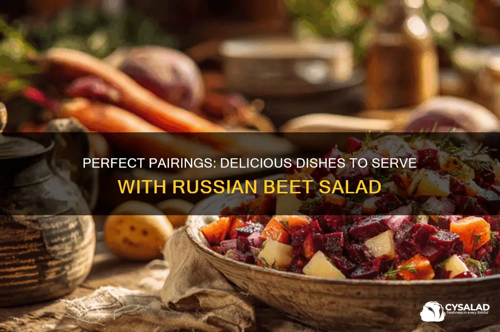 Perfect Pairings: Delicious Dishes To Serve With Russian Beet Salad ...