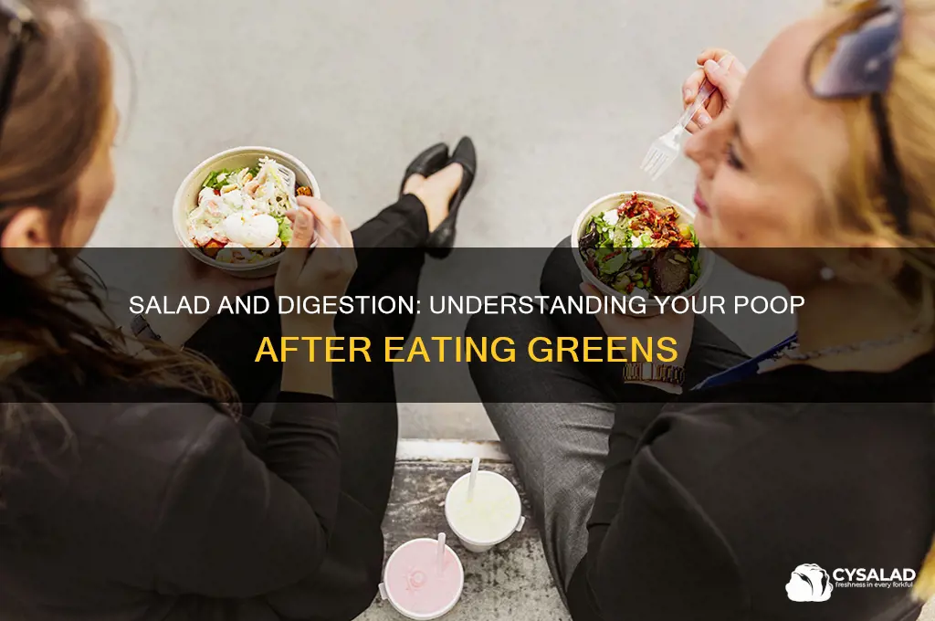 Salad And Digestion: Understanding Your Poop After Eating Greens | CySalad