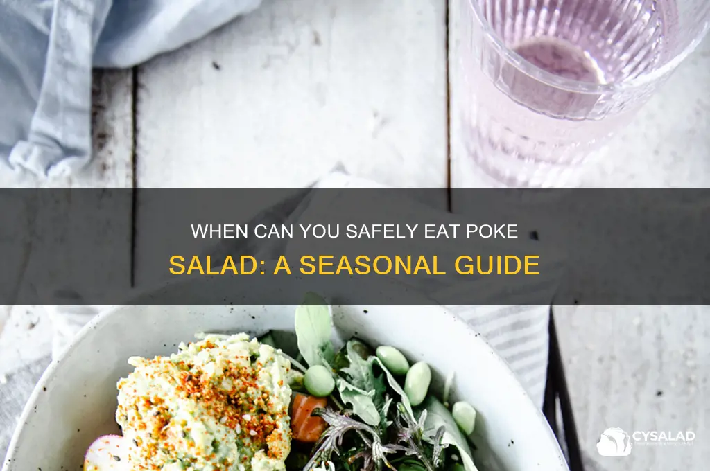 When Can You Safely Eat Poke Salad: A Seasonal Guide | CySalad