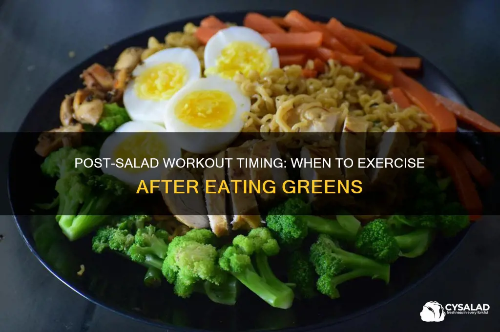 Post-Salad Workout Timing: When To Exercise After Eating Greens | CySalad