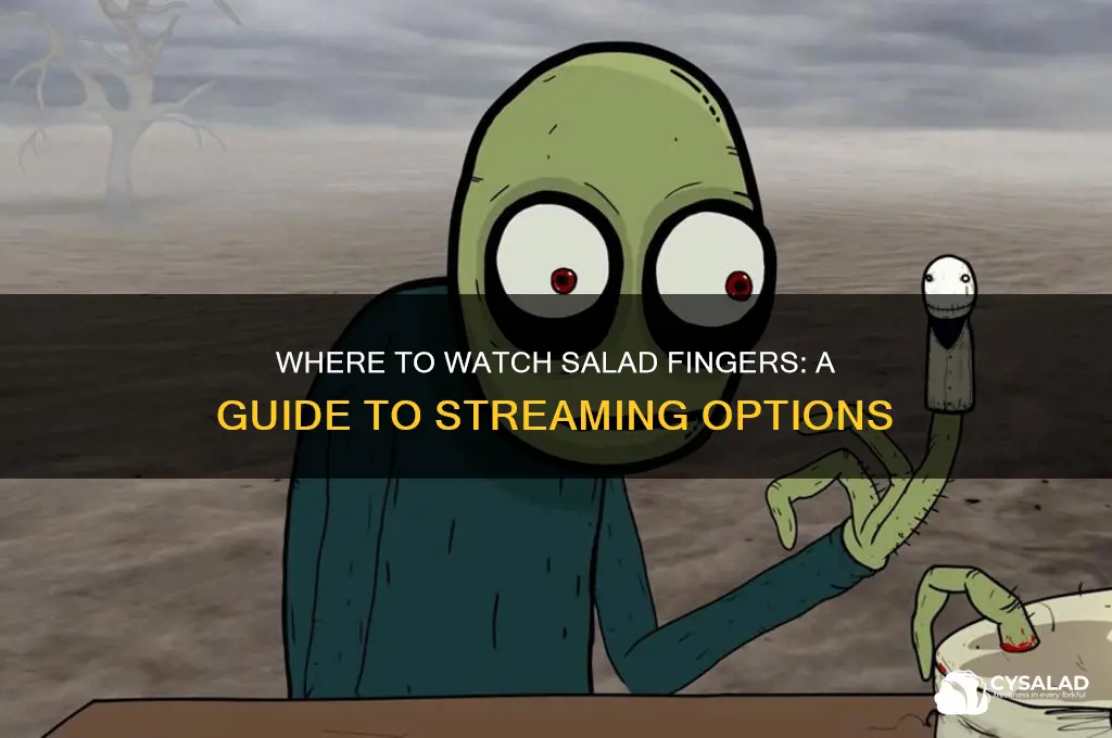 Where To Watch Salad Fingers: A Guide To Streaming Options | CySalad