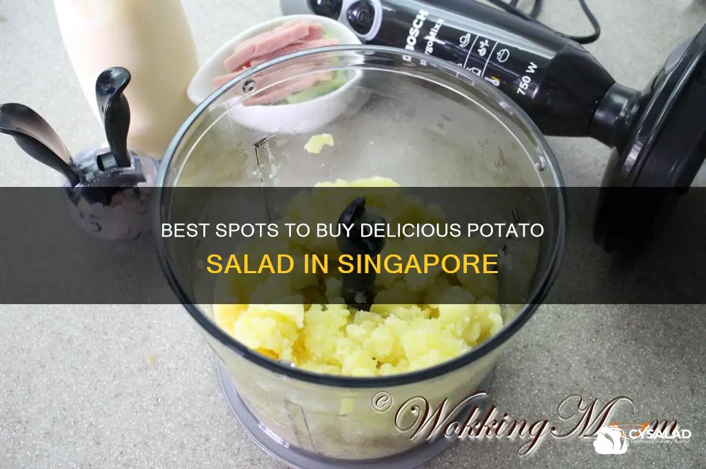 Best Spots To Buy Delicious Potato Salad In Singapore | CySalad