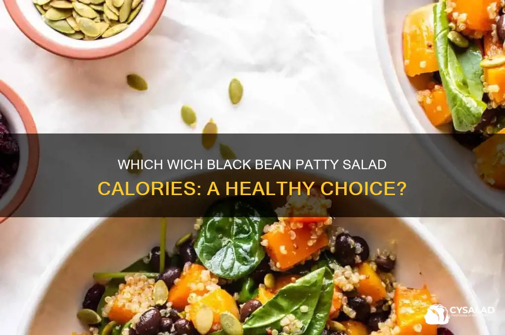 Which Wich Black Bean Patty Salad Calories: A Healthy Choice? | CySalad