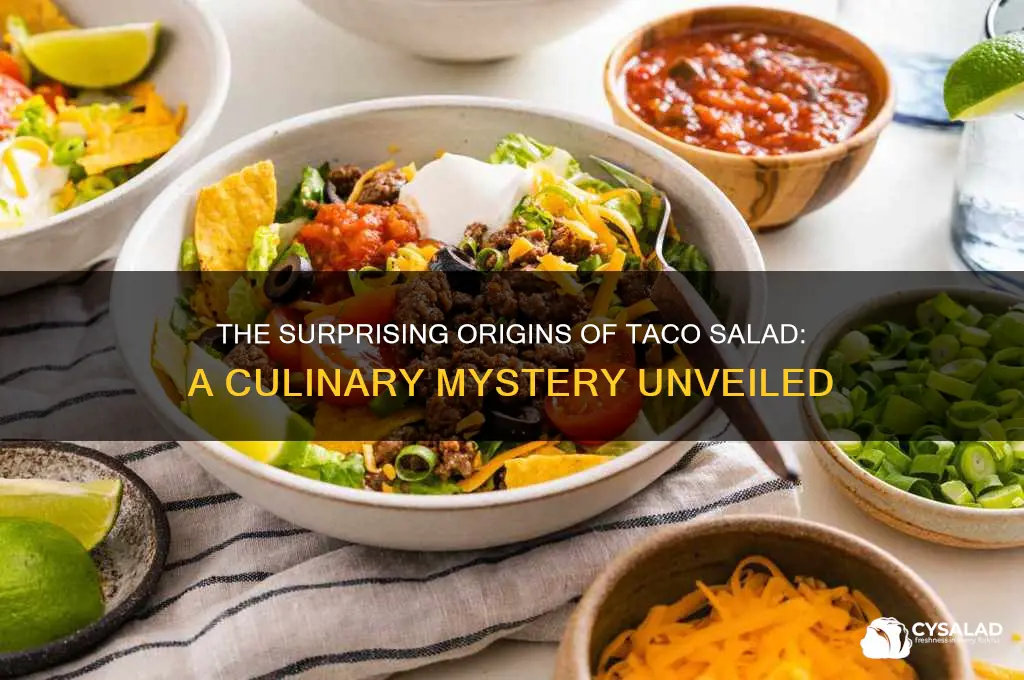 The Surprising Origins Of Taco Salad: A Culinary Mystery Unveiled | CySalad