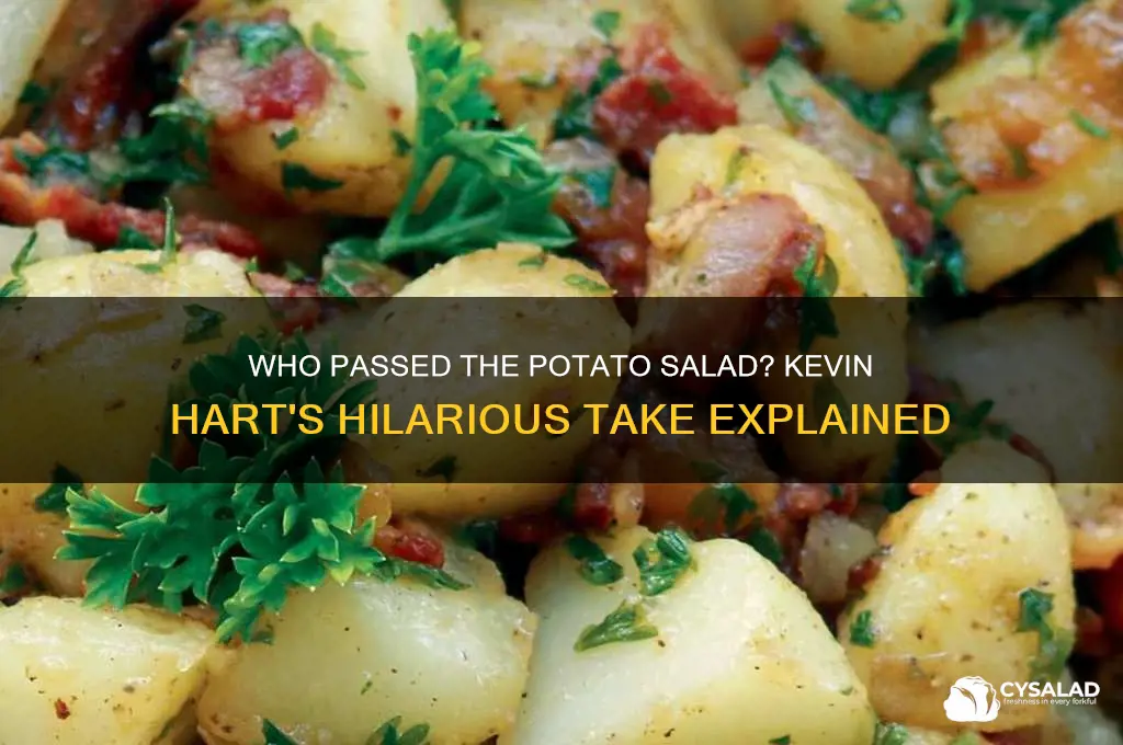 Who Passed The Potato Salad? Kevin Hart's Hilarious Take Explained ...