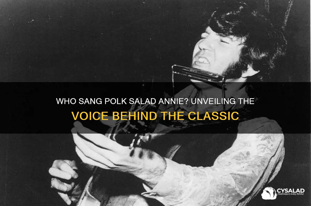 Who Sang Polk Salad Annie? Unveiling The Voice Behind The Classic | CySalad
