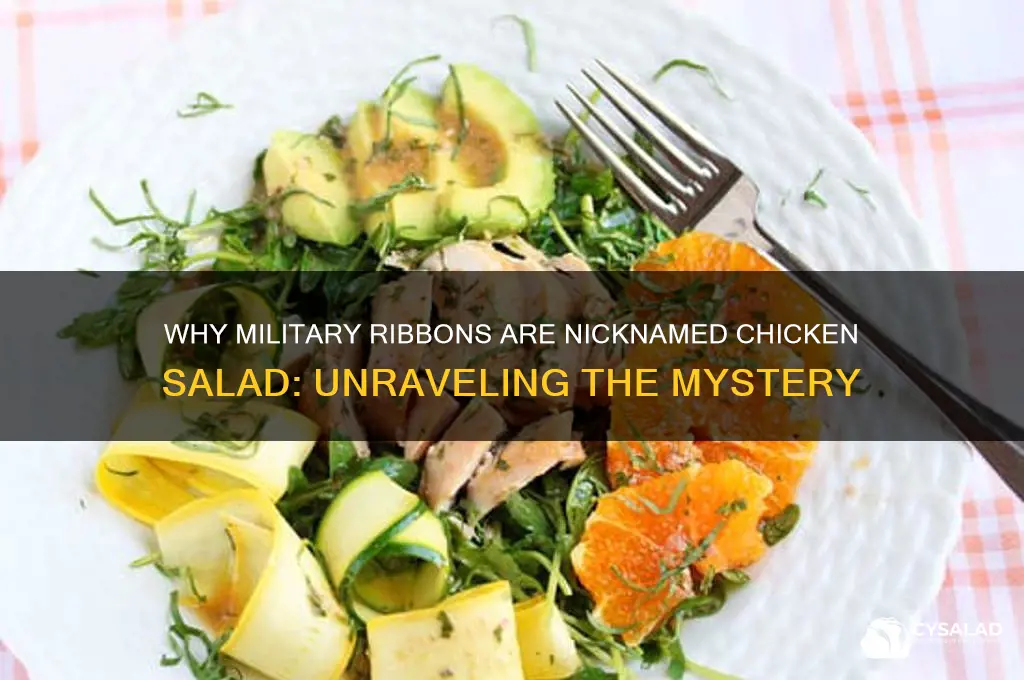 Why Military Ribbons Are Nicknamed Chicken Salad: Unraveling The ...