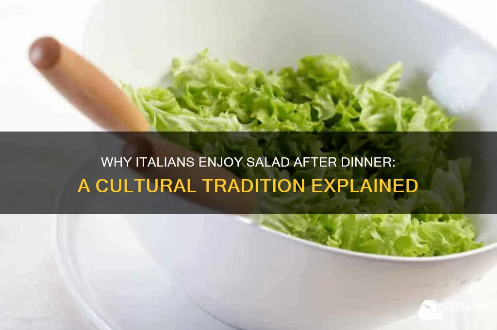 Why Italians Enjoy Salad After Dinner: A Cultural Tradition Explained ...