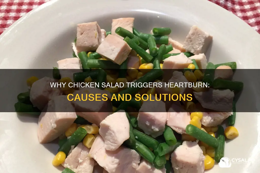 Why Chicken Salad Triggers Heartburn: Causes And Solutions | CySalad