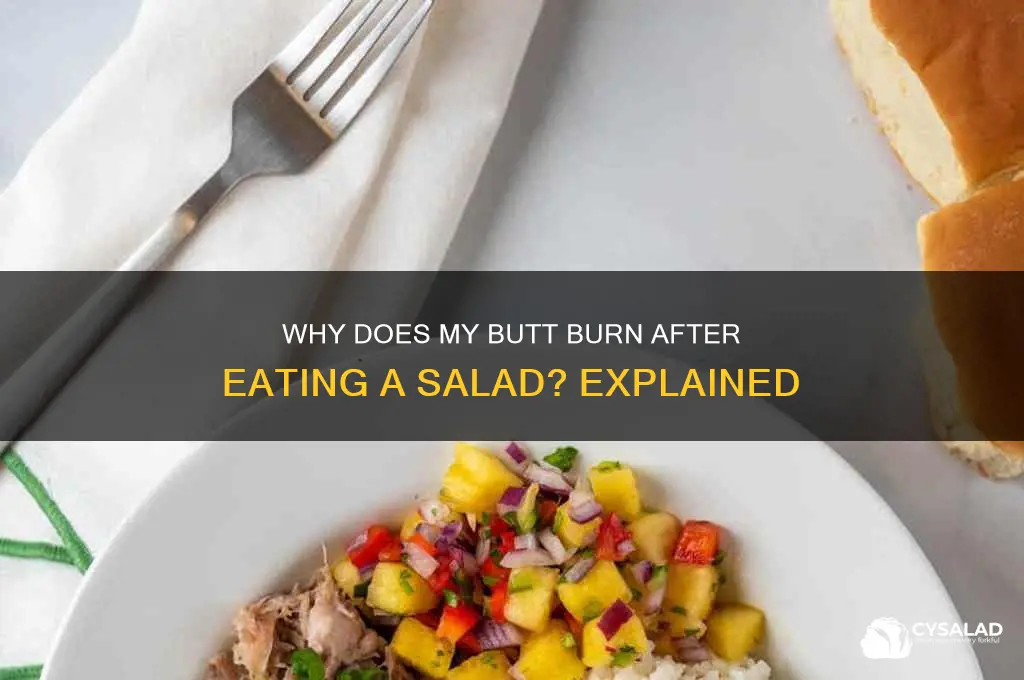 Why Does My Butt Burn After Eating A Salad? Explained | CySalad