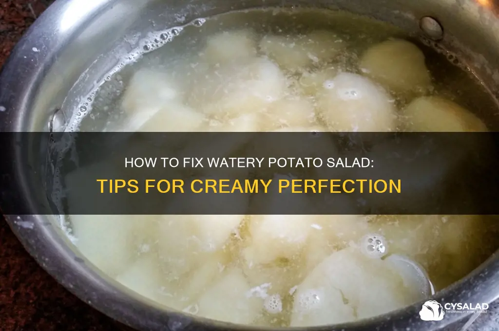 How To Fix Watery Potato Salad: Tips For Creamy Perfection | CySalad