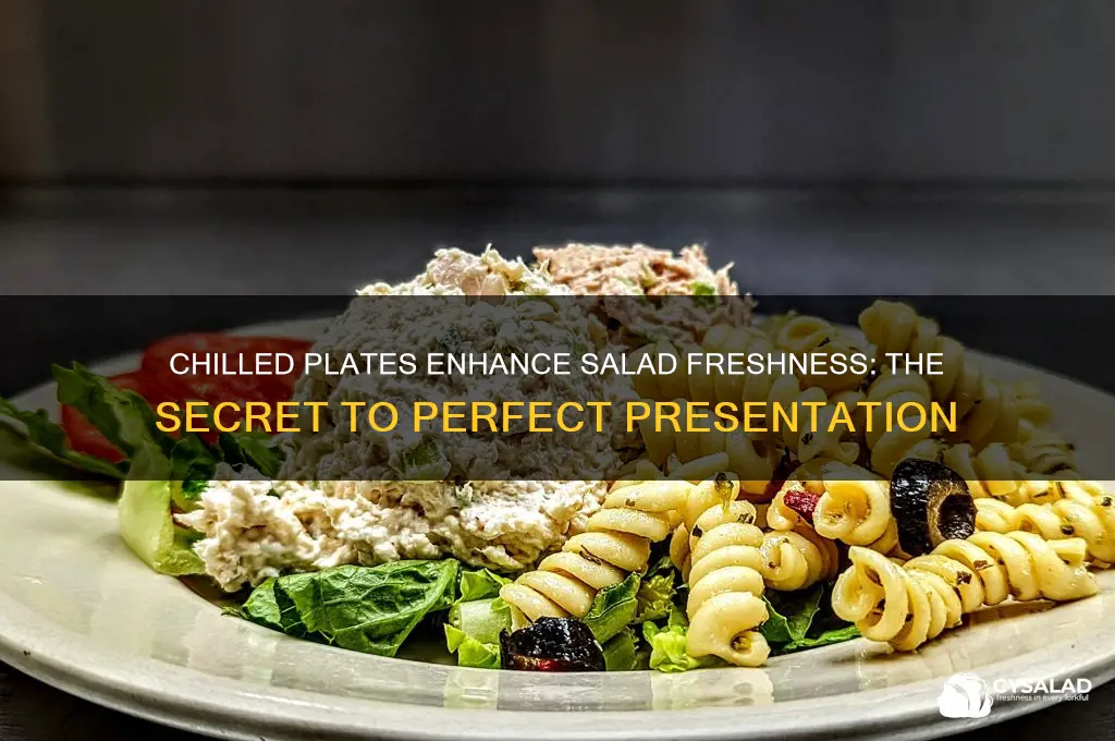 Chilled Plates Enhance Salad Freshness: The Secret To Perfect ...
