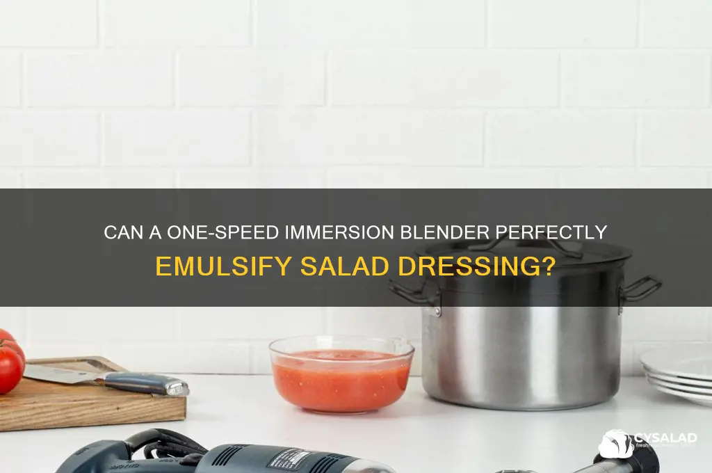Can A One-Speed Immersion Blender Perfectly Emulsify Salad Dressing ...