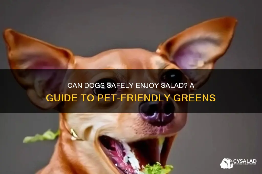 Can Dogs Safely Enjoy Salad? A Guide To Pet-Friendly Greens | CySalad