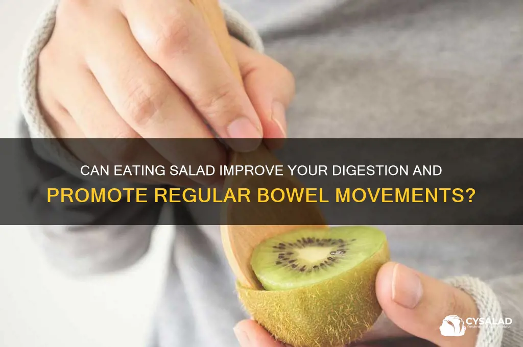 Can Eating Salad Improve Your Digestion And Promote Regular Bowel ...